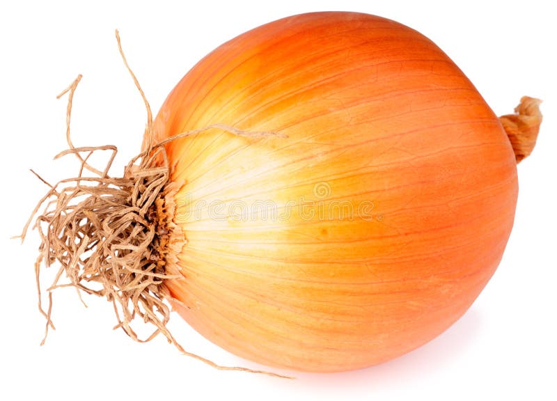 Cebolla Grande Sobre Blanco Imagen de archivo - Imagen de crudo, fondo ...