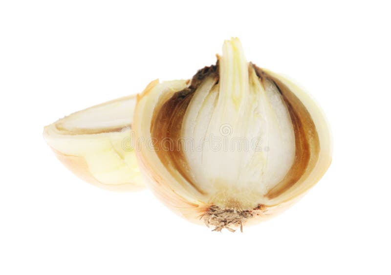 Cebolla Podrida Aislada Sobre Fondo Blanco Cebolla Podrida Aislada ...