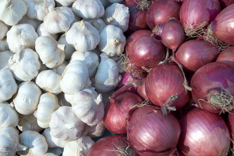 Cebolla y ajo imagen de archivo. Imagen de cocinero, condimento - 954621