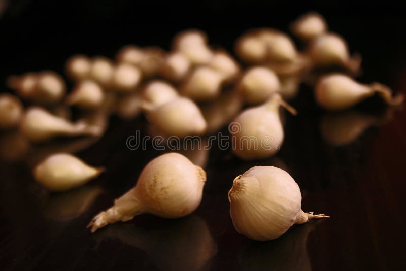 Cebollas del bebé foto de archivo. Imagen de bebé, cebollas - 1035686