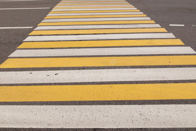 Cebra En El Paso De Peatones En El Camino Imagen de archivo - Imagen de ...