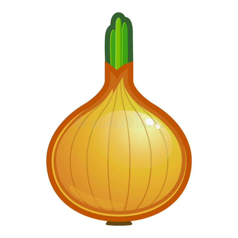 Cebula ilustracja wektor. Ilustracja złożonej z kopiasty - 14758267