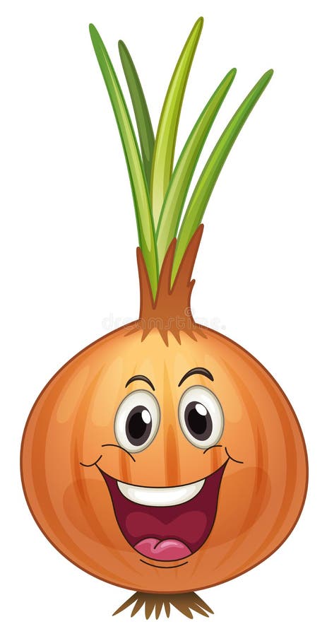 Cebula ilustracja wektor. Ilustracja złożonej z ilustracje - 31791892