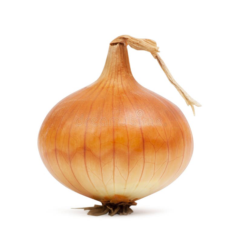 Cebula obraz stock. Obraz złożonej z cebula, horyzontalny - 36823315