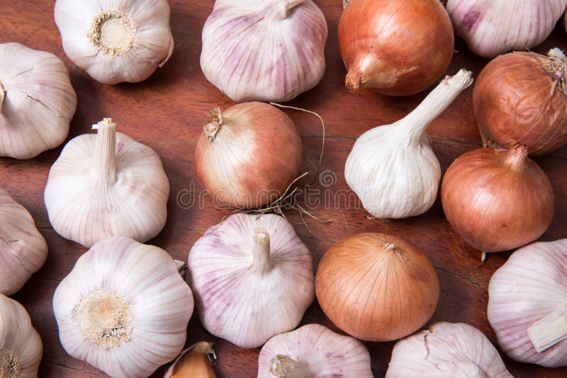 Cebula i czosnek obraz stock. Obraz złożonej z roślina - 60613801