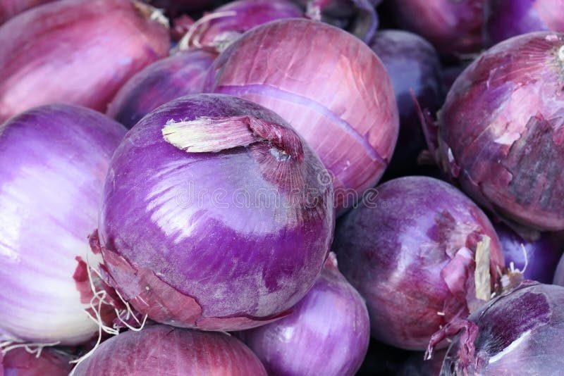 Cebule obraz stock. Obraz złożonej z jarosz, zbliżenie - 17096859