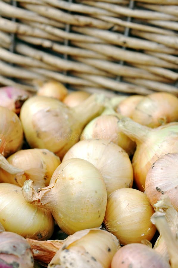 Cebule obraz stock. Obraz złożonej z suchy, żniwo, gotowanie - 23368579