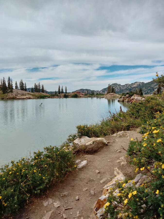 Cecret Lake stock image. Image of wildflowers, cecret - 252607095