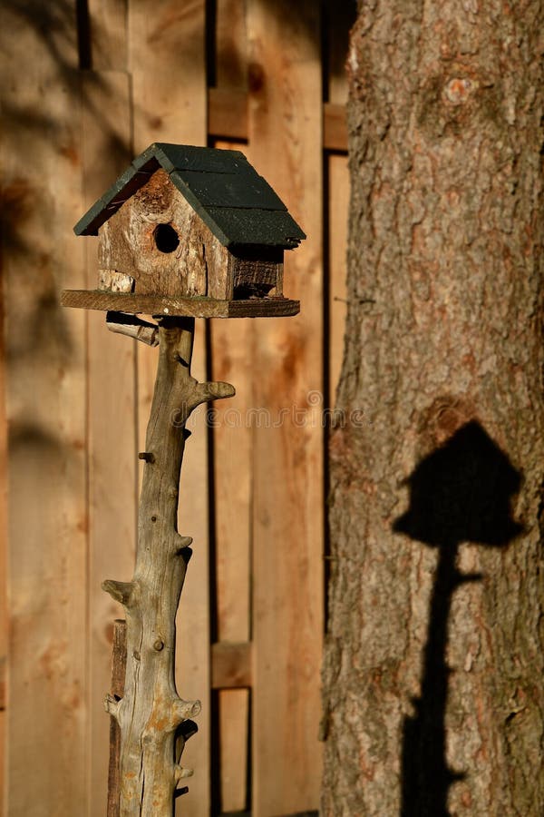 Cedar Birdhouse Casts a Shadow on a Cedar Tree Stock Image - Image of ...