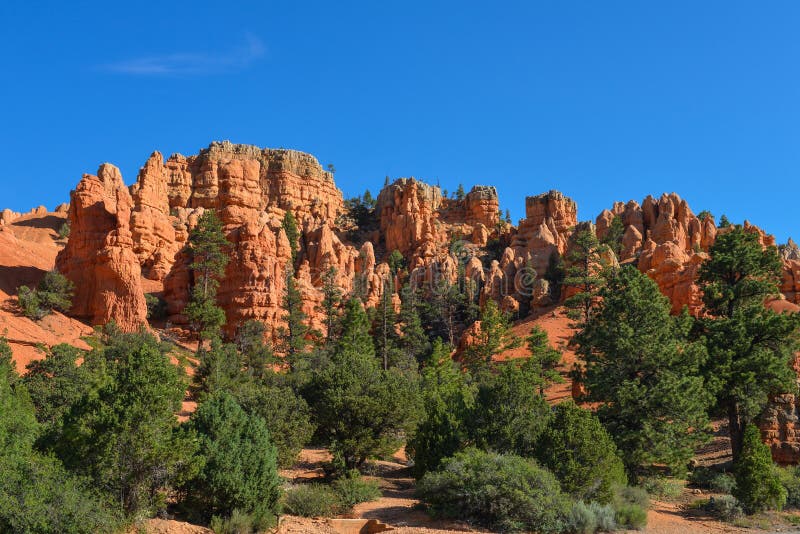 Cedar Breaks National Park stock photo. Image of visit - 32704156