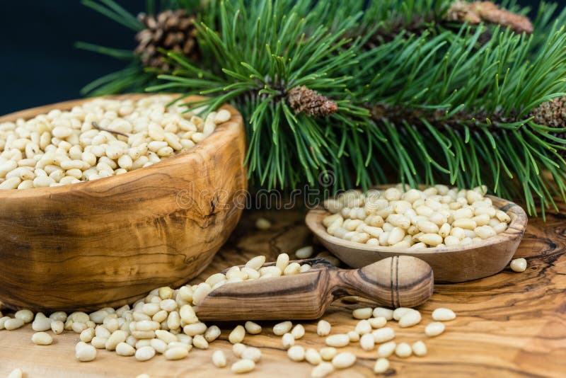 Cedarnuts or pinenuts stock image. Image of fiber, herb - 217547729