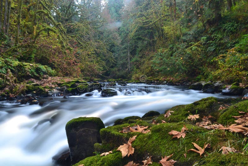 Galloping Calapooia stock photo. Image of greenery, falls - 109978102