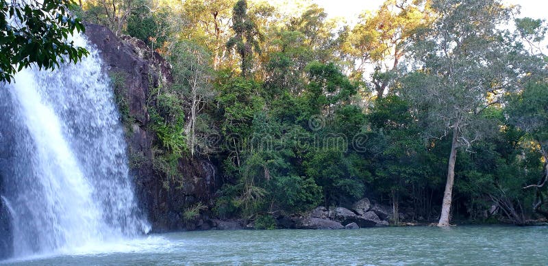Cedar Creek Falls, Queensland, Australia Stock Photo - Image of tree ...