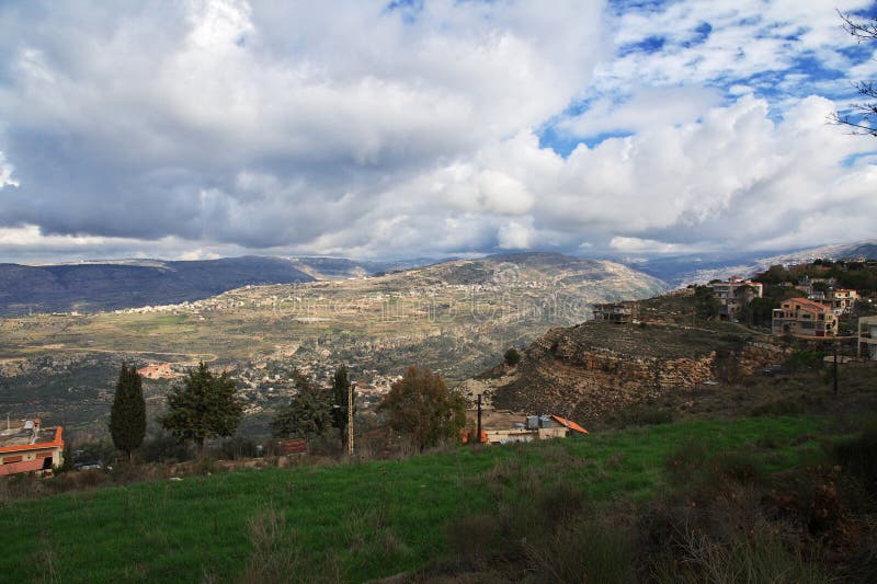 The Cedar Forest in Mountains of Lebanon Stock Photo - Image of scene ...