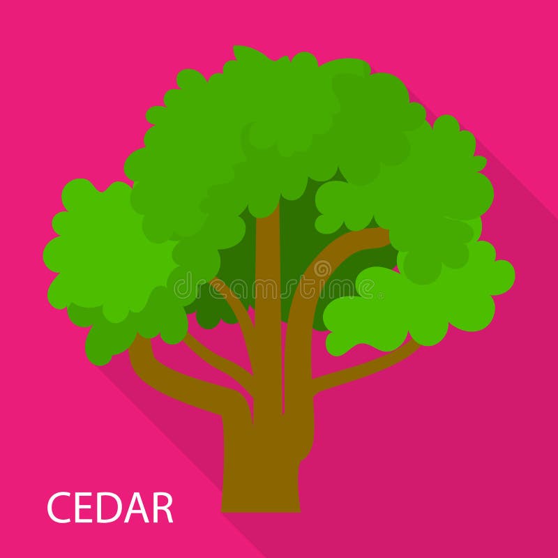 Cedar icon, flat style stock vector. Illustration of symbol - 113746368
