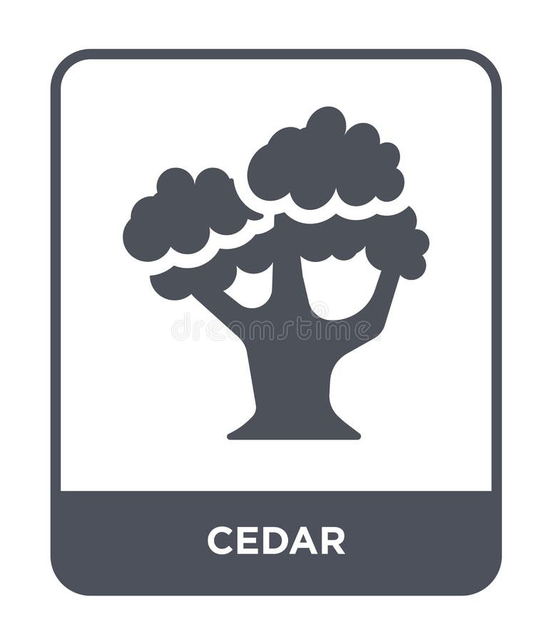 Cedar Icon in Trendy Design Style. Cedar Icon Isolated on White ...