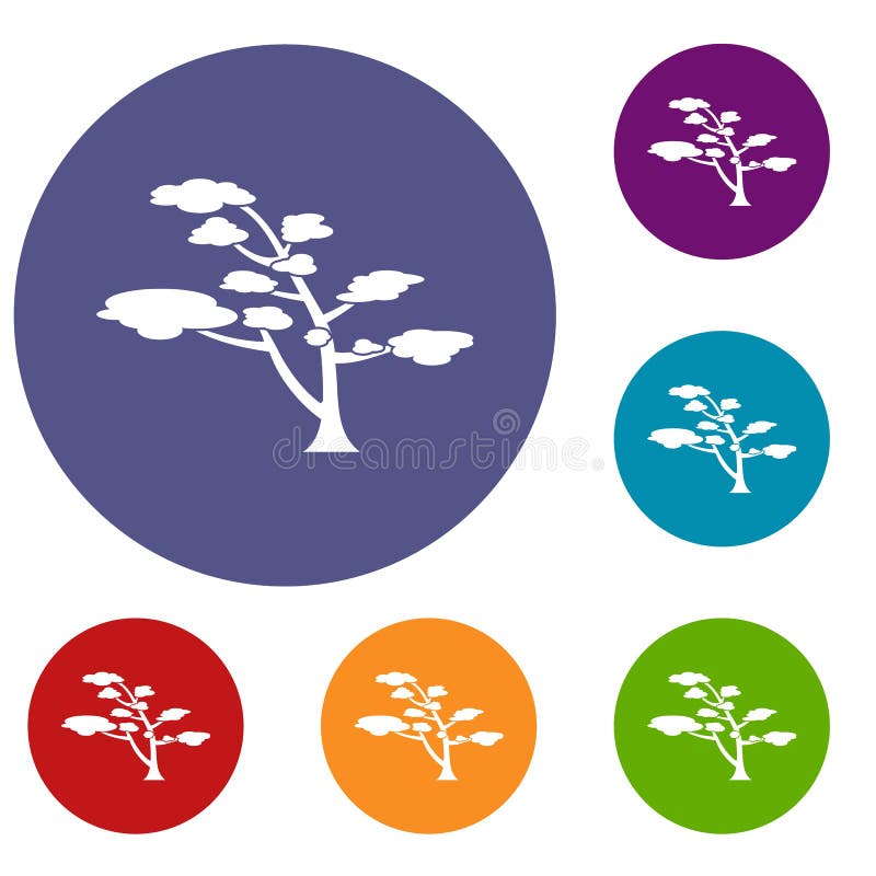 Cedar icons set stock vector. Illustration of outdoor - 95835132