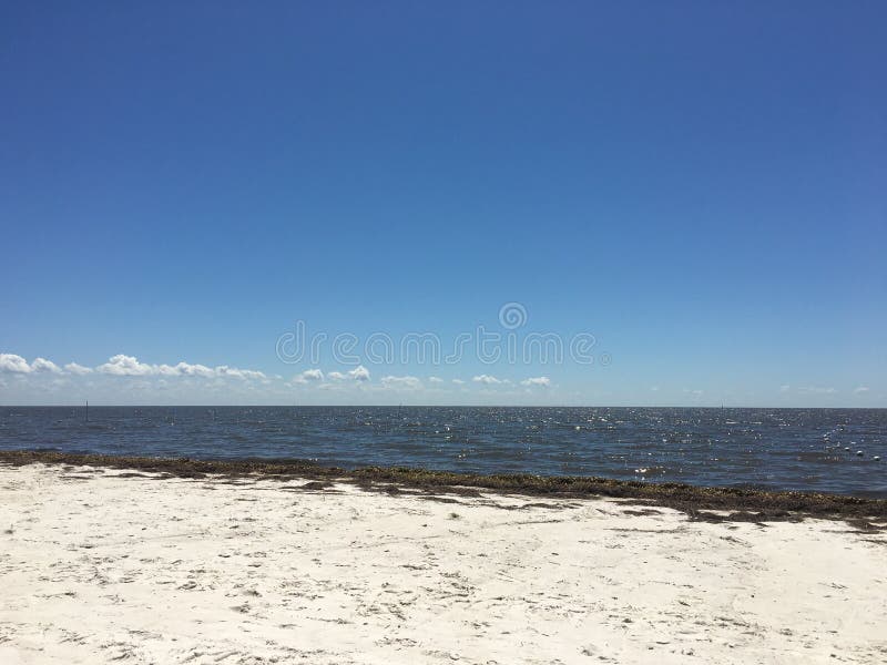 Cedar Key Beach stock photo. Image of sand, natural, cedar - 77219970