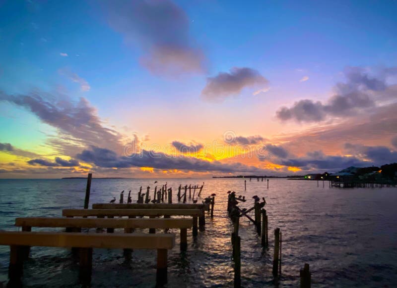 Cedar key Florida stock image. Image of cedar, beach - 230546911