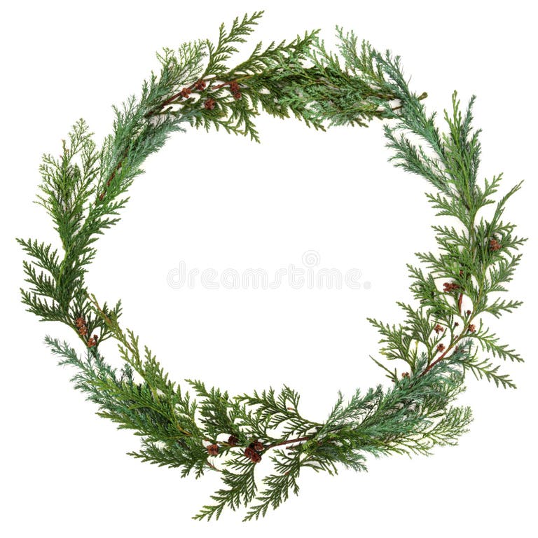 Cedar Leaf Wreath imagen de archivo. Imagen de abeto - 32849577