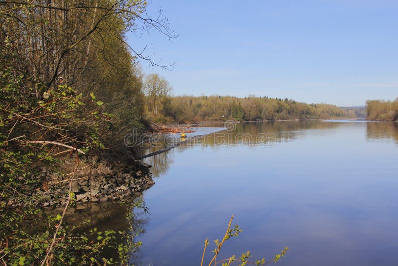 Cedar Log Mill on the Fraser River Stock Image - Image of industry ...