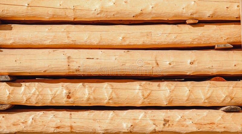 Cedar Logs in Sawmill for Export or Building Wooden House Stock Photo ...