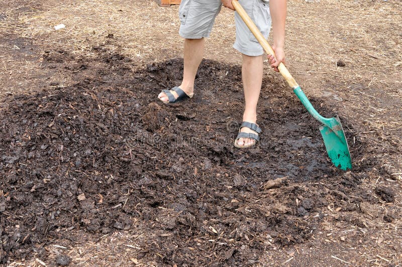 Man unloading compost stock image. Image of mulch, compost - 17657479