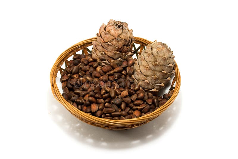 Cedar nuts stock photo. Image of pine, shape, macro, cedar - 12567624
