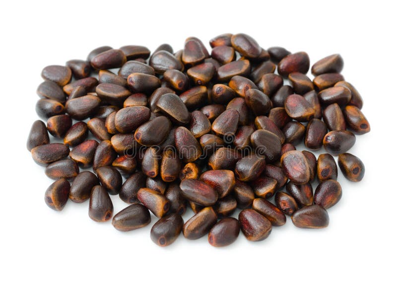 Cedar nuts stock image. Image of pine, white, siberia - 28175551
