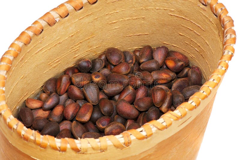 Cedar nuts stock image. Image of eating, shelled, decoration - 7147815