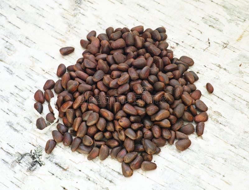 384 Birch Nuts Stock Photos - Free & Royalty-Free Stock Photos from ...