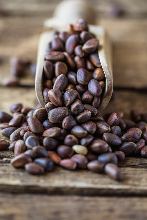 Cedar Nuts in Shell. Organic Food Stock Photo - Image of shell, brown ...