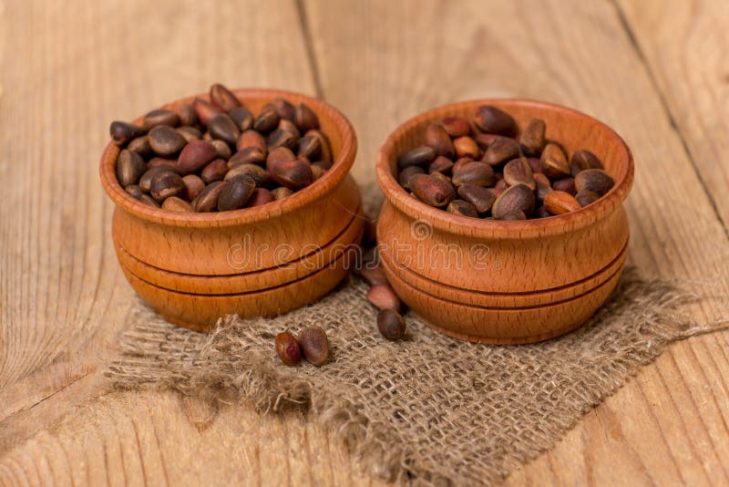 Cedar nuts stock photo. Image of healthy, nature, energy - 59135304