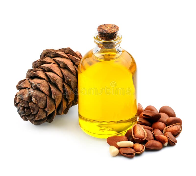 Cedar Oil with Pine Nuts. Cedar Sap Stock Photo - Image of kernel ...