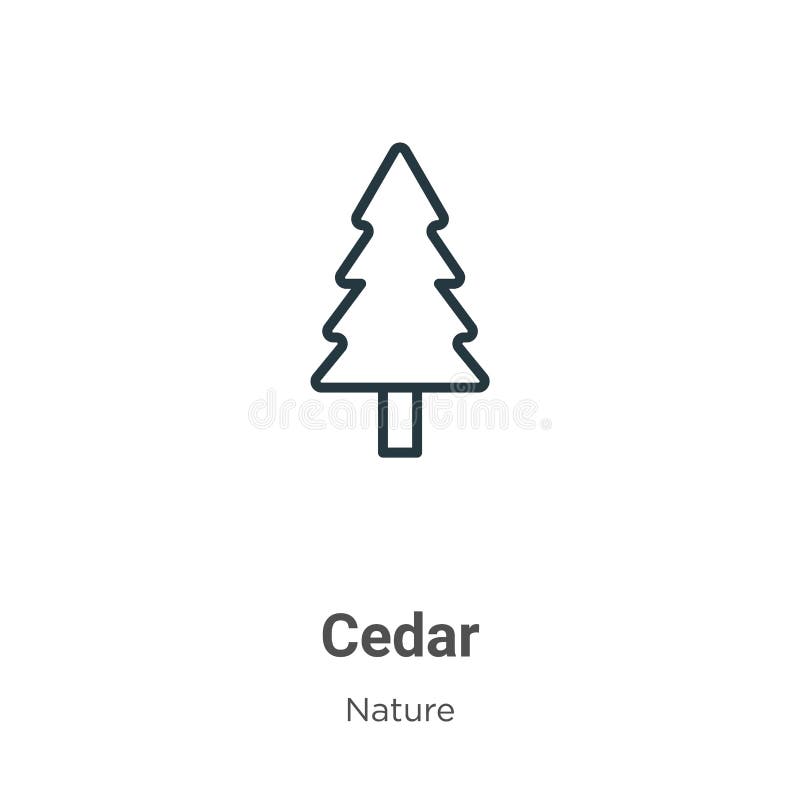 Cedar Outline Vector Icon. Thin Line Black Cedar Icon, Flat Vector ...