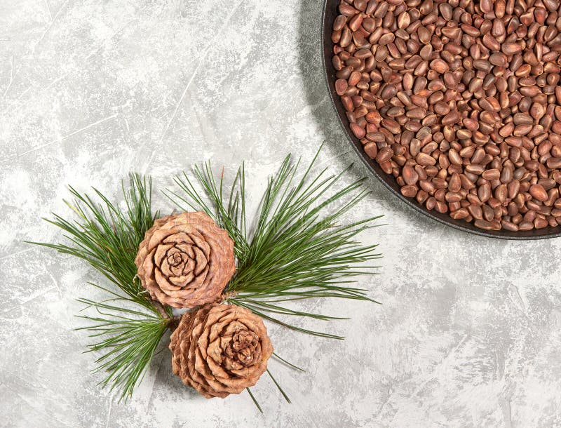 Cedar or Pine Nuts in a Bowl with Cones on Gray Background and a Branch ...