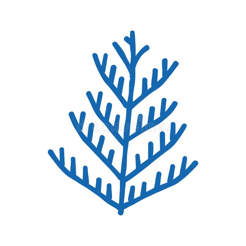 Cedar Plant Leaf Icon Doodle Illustration Stock Illustration ...