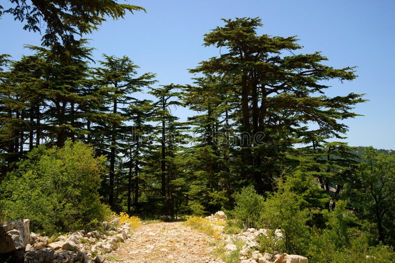 Lebanon Tannourine Mountains Stock Photos - Free & Royalty-Free Stock ...