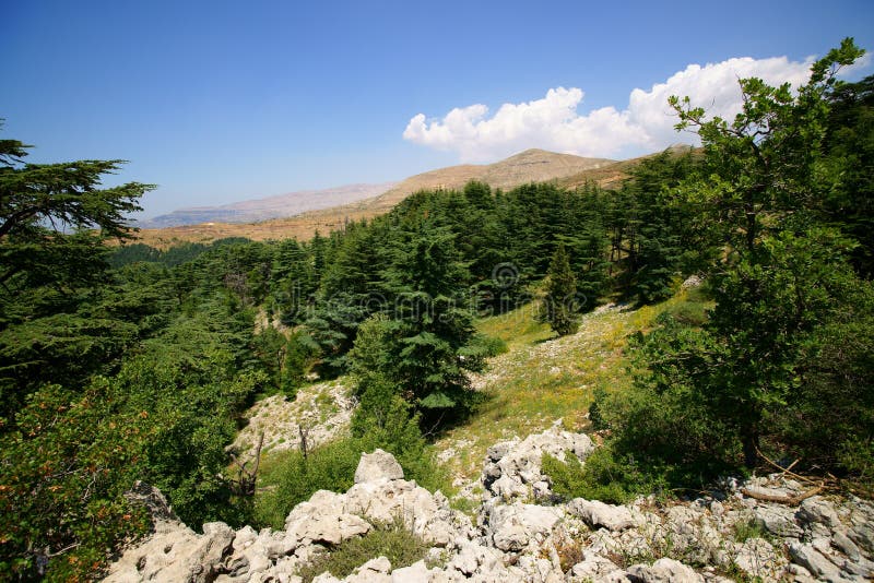 Lebanon Tannourine Mountains Stock Photos - Free & Royalty-Free Stock ...