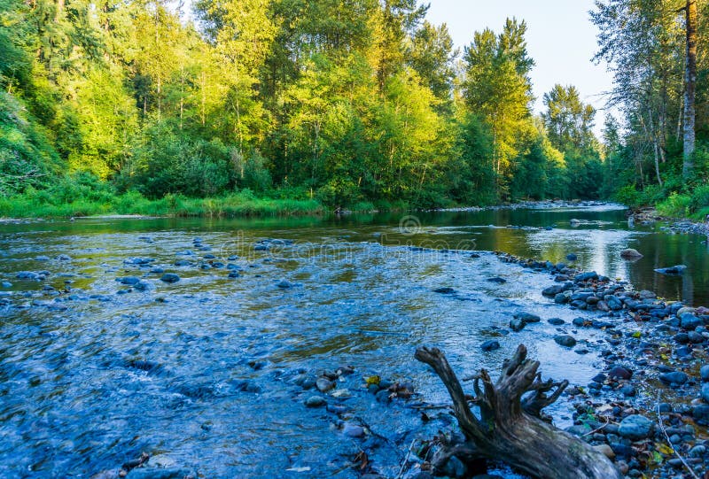 Cedar River Landscape 2 stock photo. Image of river - 156322144
