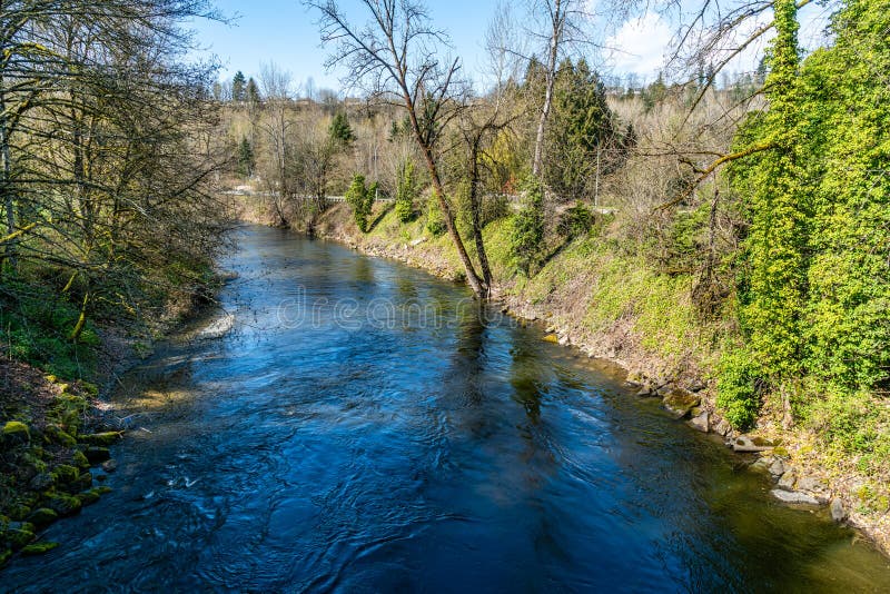 Cedar River in Renton 3 stock photo. Image of state - 274986414