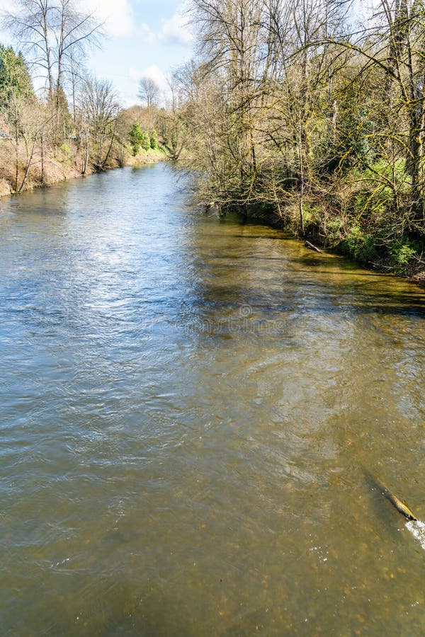 Cedar River in Renton 2 stock photo. Image of landscape - 275149668
