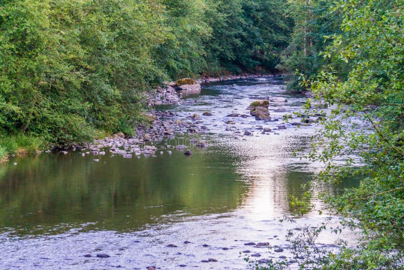 Cedar River in Summer stock photo. Image of smooth, trees - 156178474