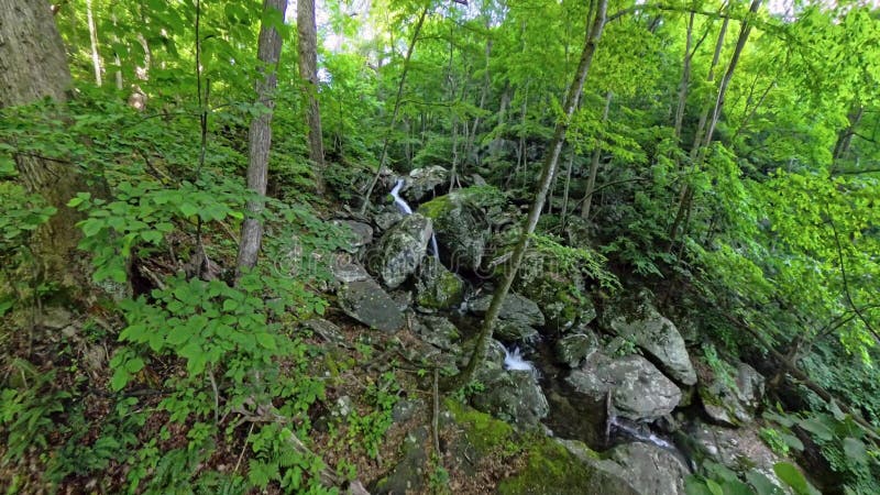 Cedar Run Flows through Pile of Rocks Stock Video - Video of waterfall ...