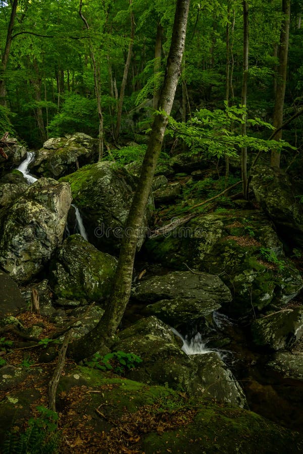 Cedar Run Tumbles Over Large Boulders in Shenandoah Forest Stock Photo ...