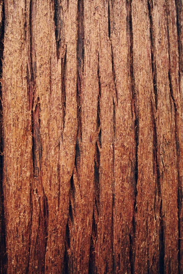 Cedar stock image. Image of peaceful, grunge, decor, bark - 31833791