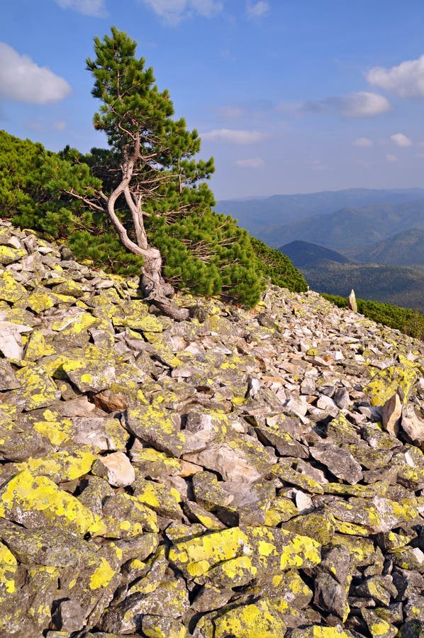 Stone Hillside and Vegetation in the Mountains on the Route of the ...