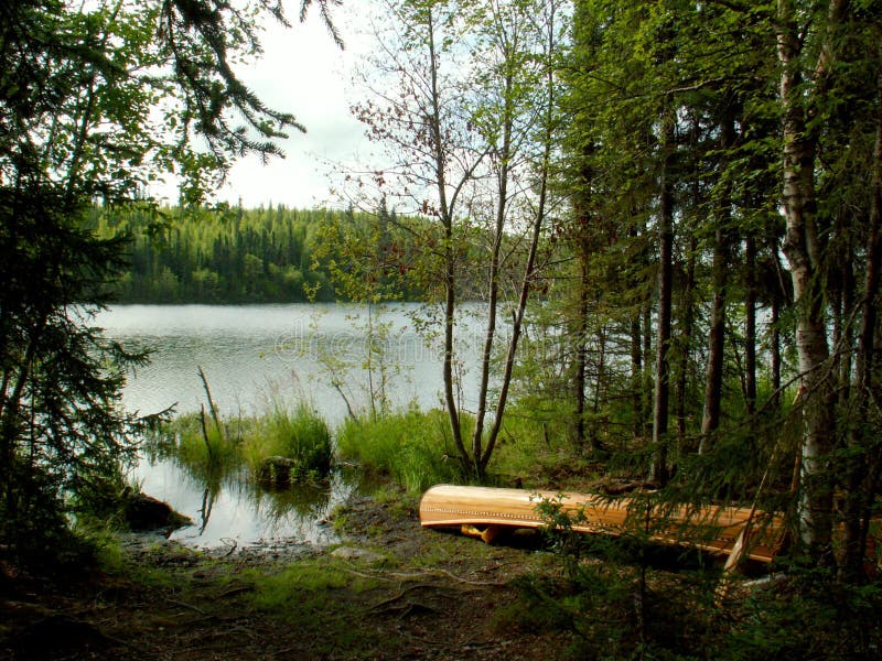 A Cedar Stripper Canoe on Shore on Swanson River Canoe Trail, Kenai ...