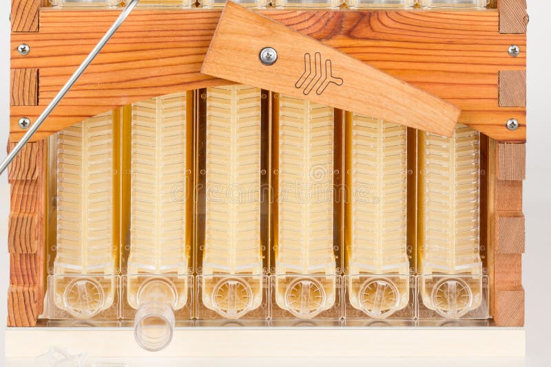 Flow Hive Super Flow Frames Stock Photos - Free & Royalty-Free Stock ...