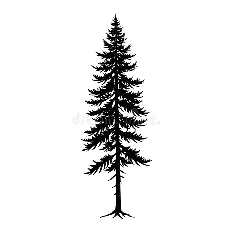 Cedar Tree Black Colour Silhouette Vector Stock Illustration ...